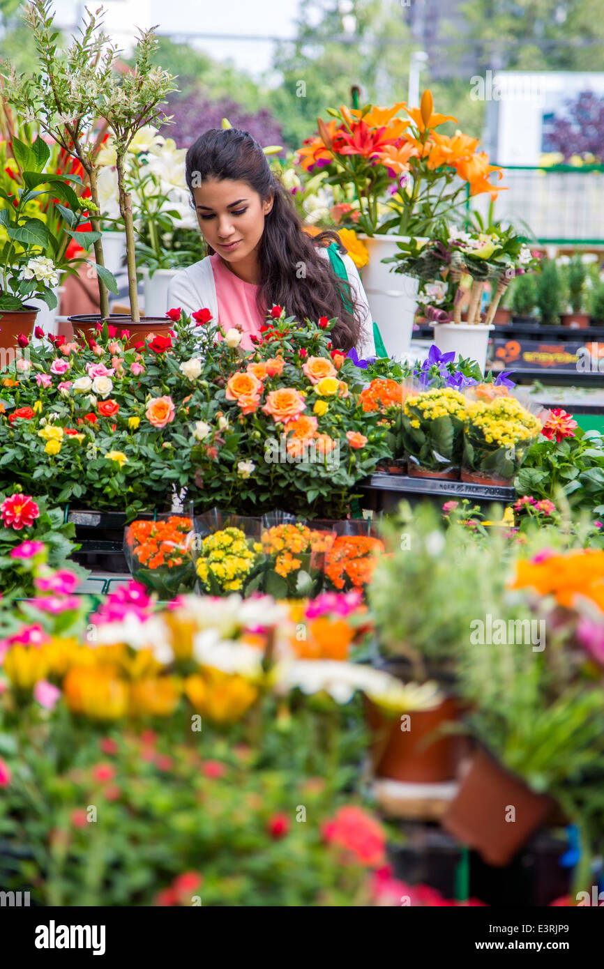 Consumer flower hi-res stock photography and images - Alamy