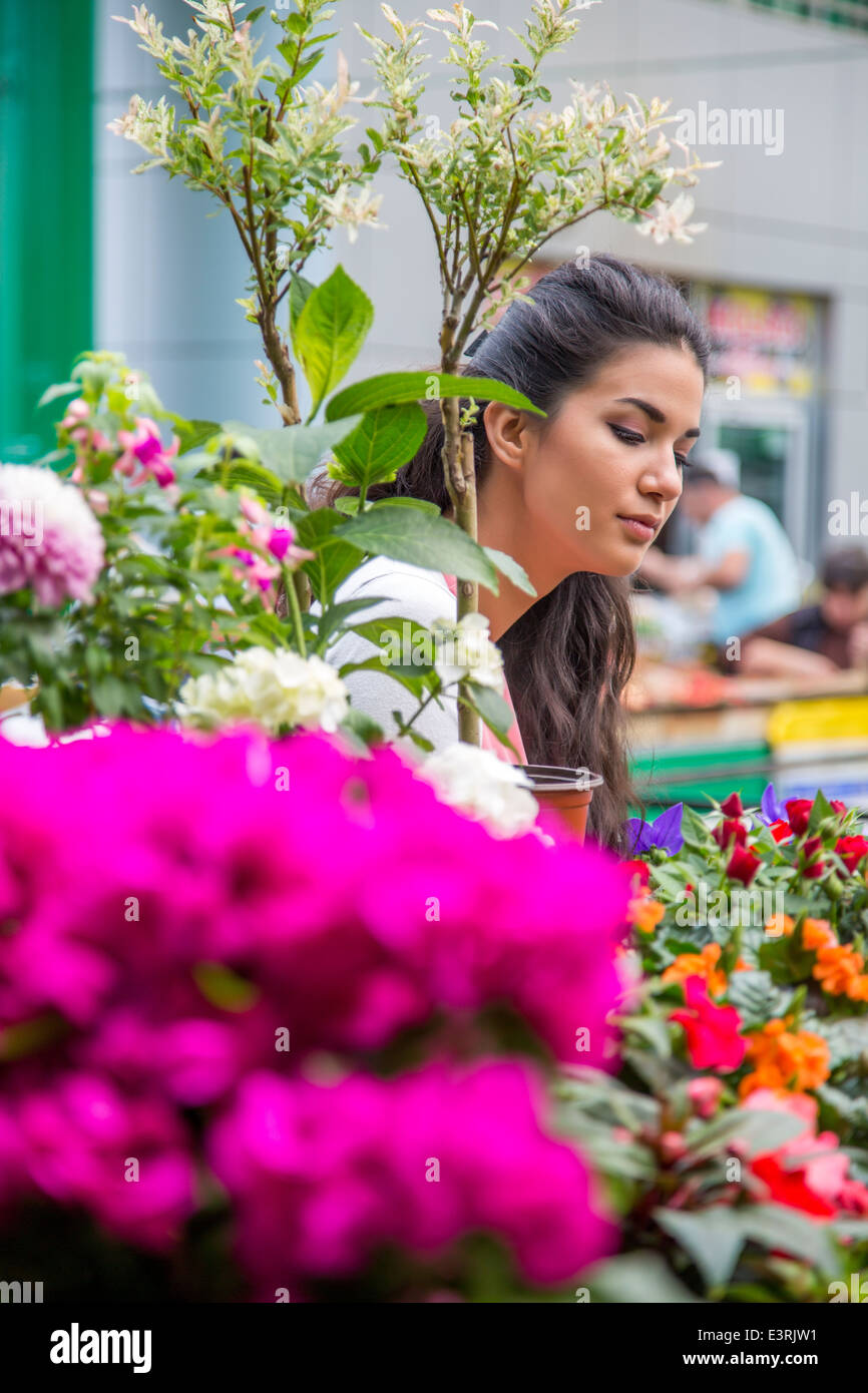 Consumer flower hi-res stock photography and images - Alamy