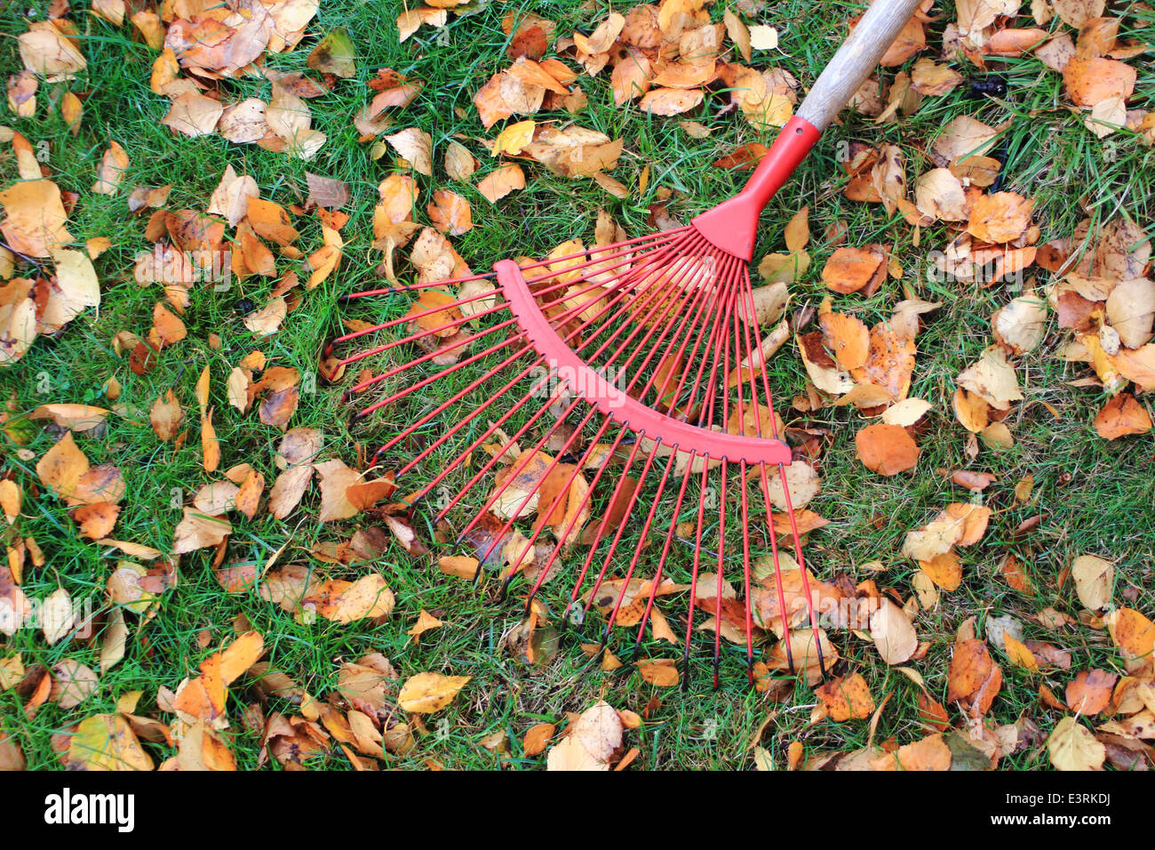 Raking leaf pile hi-res stock photography and images - Alamy