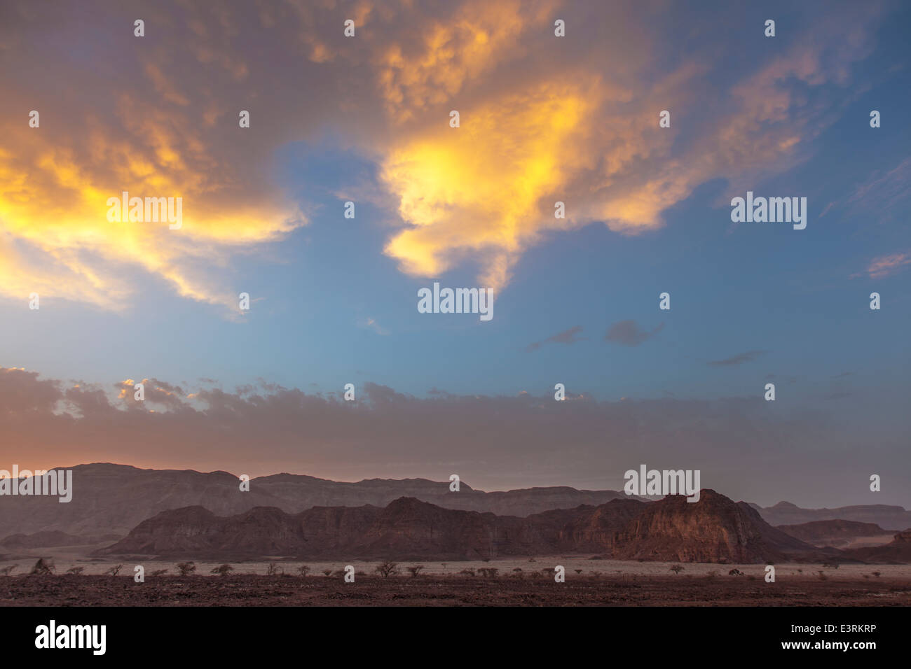 Timnah hi-res stock photography and images - Alamy