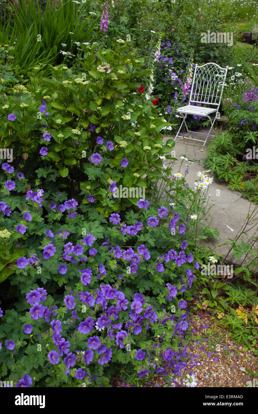 Himalayan insects hi-res stock photography and images - Alamy