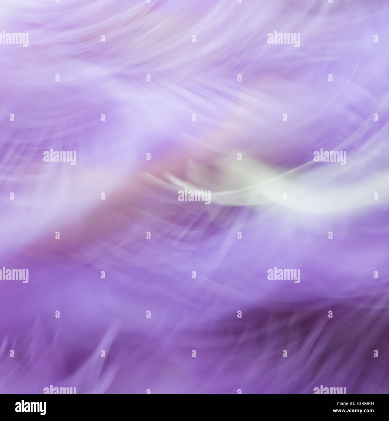 Purple graphics hi-res stock photography and images - Alamy