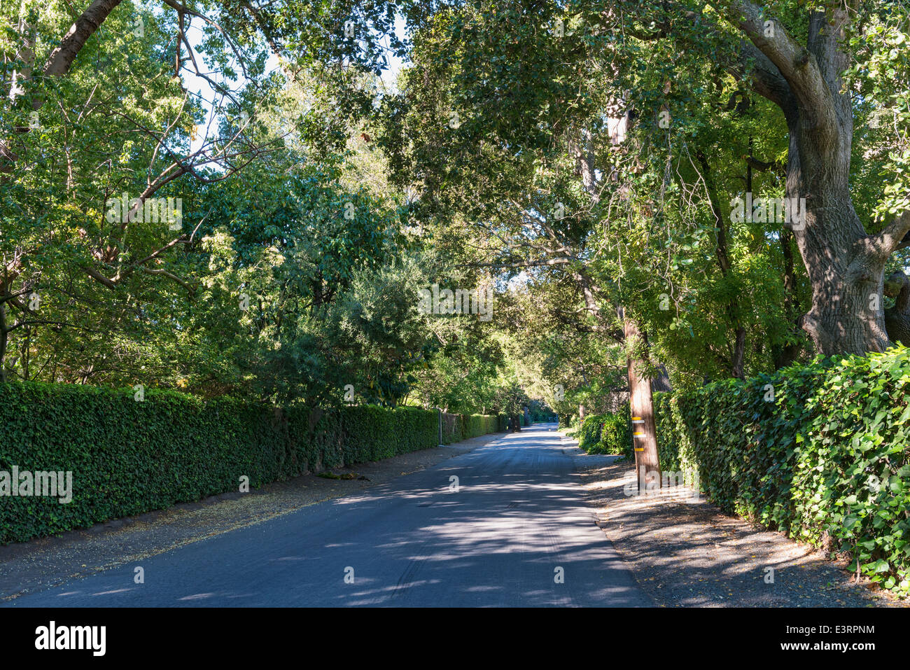 Sunny lane hi-res stock photography and images - Alamy