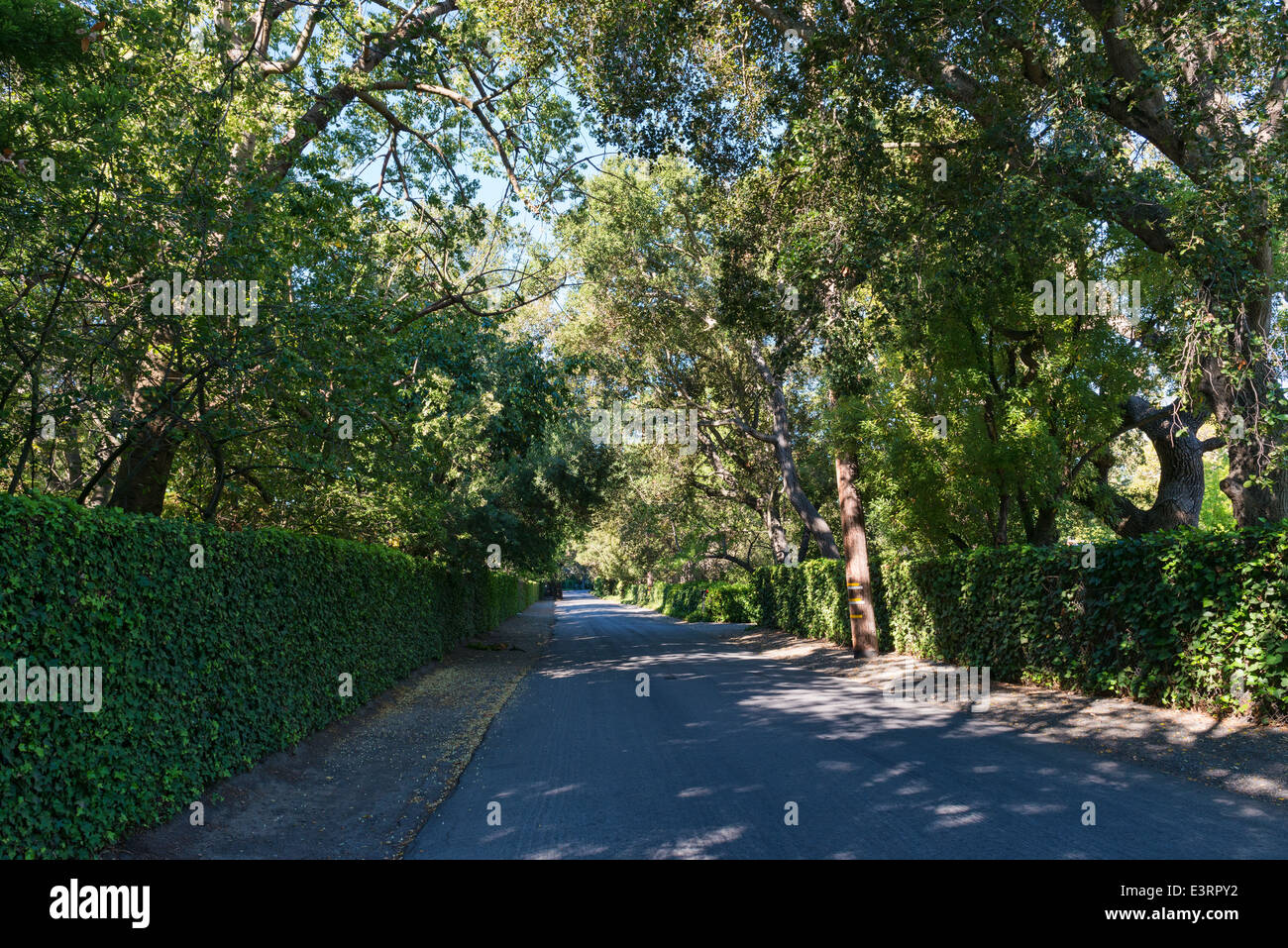 Sunny lane hi-res stock photography and images - Alamy