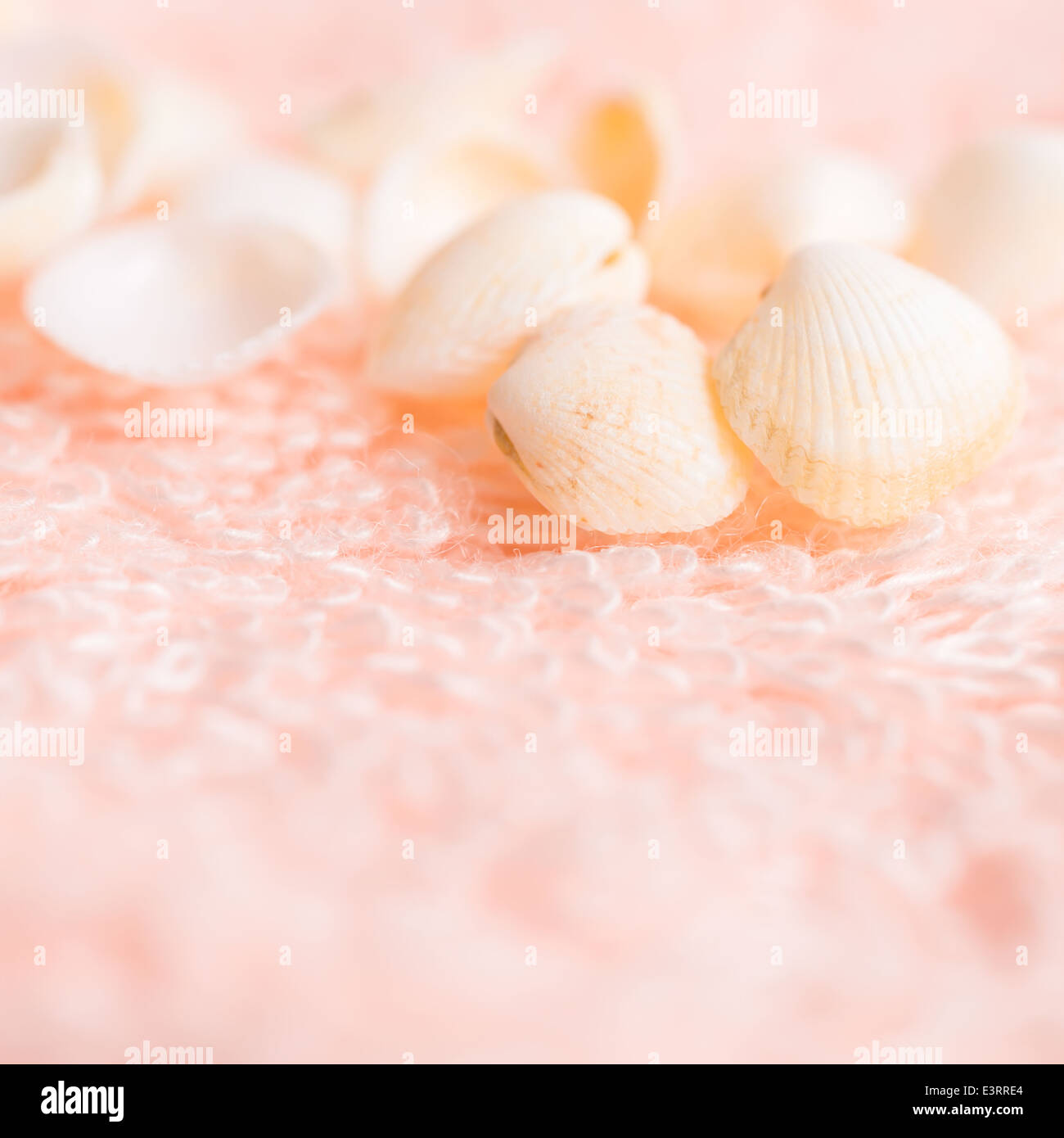 light sea shells on soft pink terry texture, closeup Stock Photo - Alamy