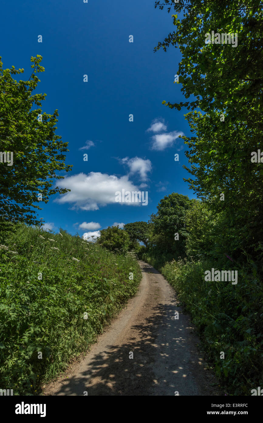 Cornish Country Lane Stock Photos & Cornish Country Lane Stock Images ...