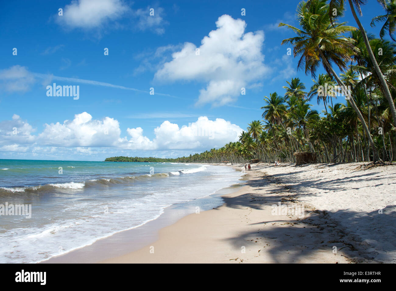 Rustic Brazilian beach in Nordeste Bahia Brazil with palm trees and ...