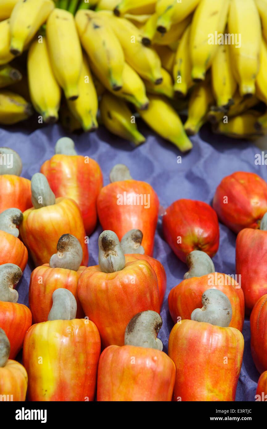 Colorful fruit harvest of bananas and Brazilian caju cashew fruit at ...