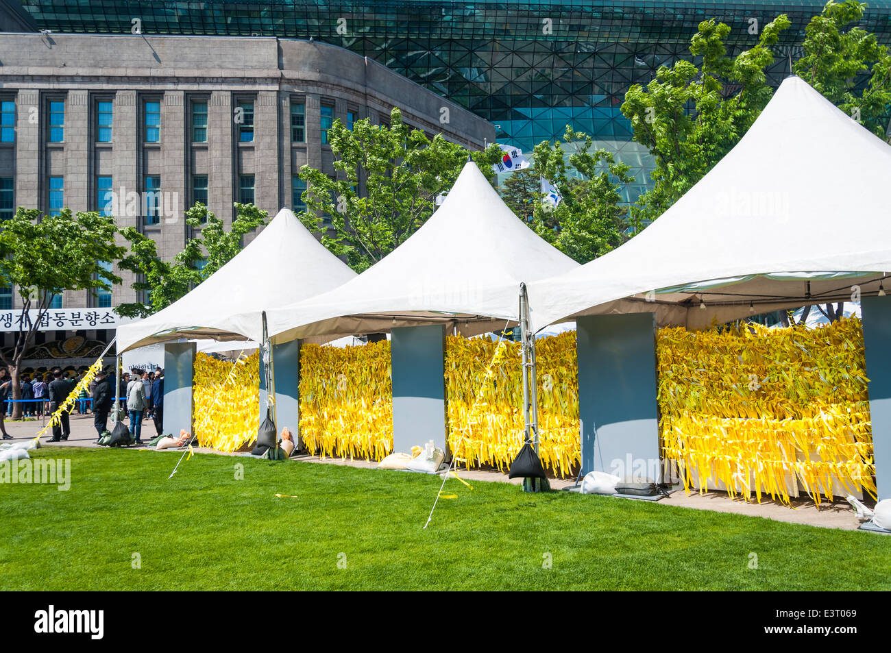 Yellow ribbons hang outside of Seoul City Hall on May 6, 2014 in memory ...
