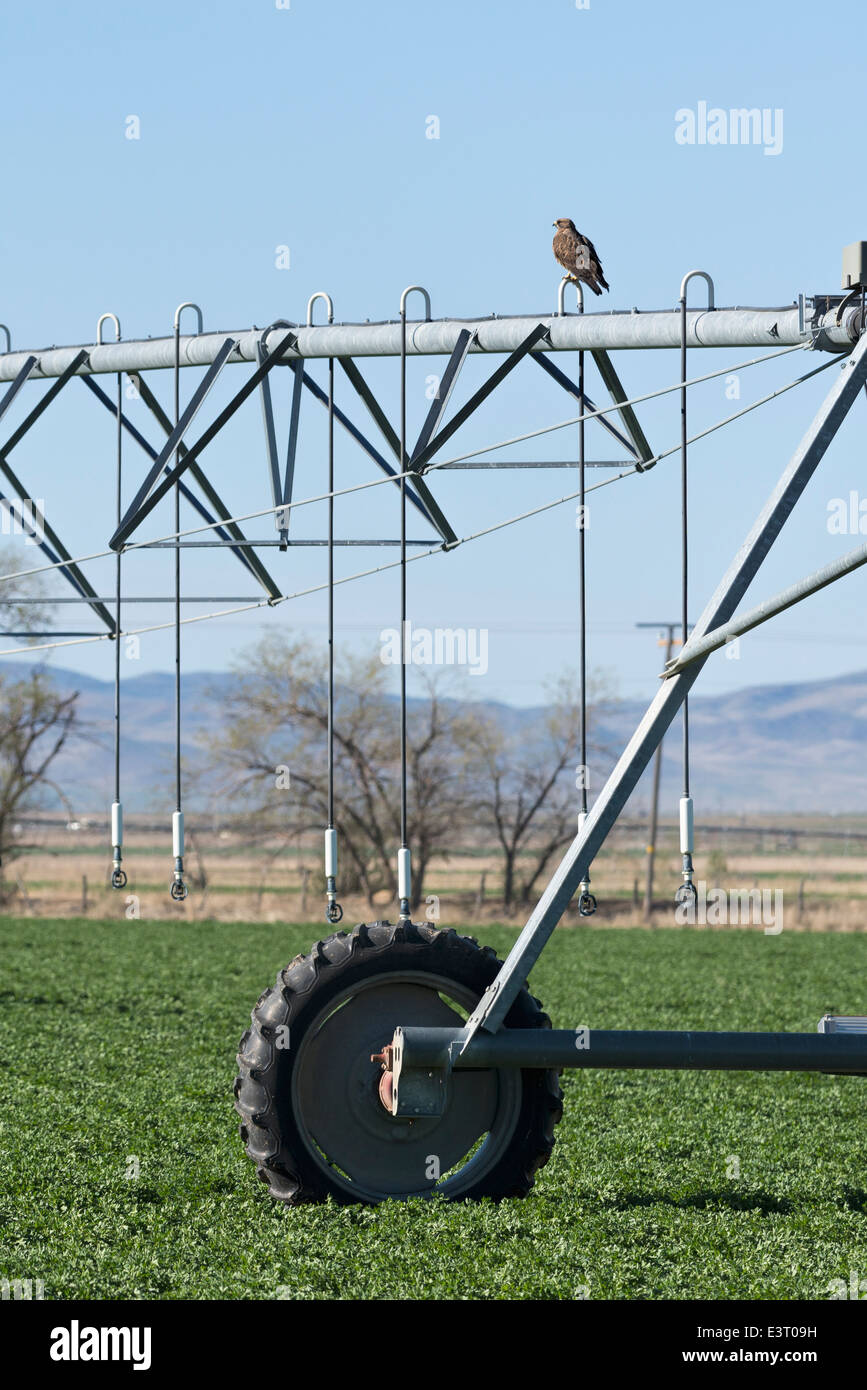 Utah farm irrigation hi-res stock photography and images - Alamy