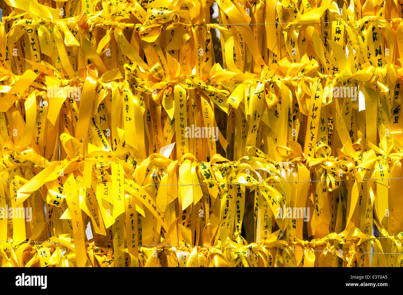 Yellow ribbons hang outside of Seoul City Hall on May 6, 2014 in memory ...
