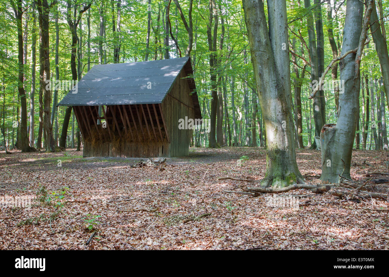 Feed trouhg in Little Carpathian - west Slovakia Stock Photo - Alamy