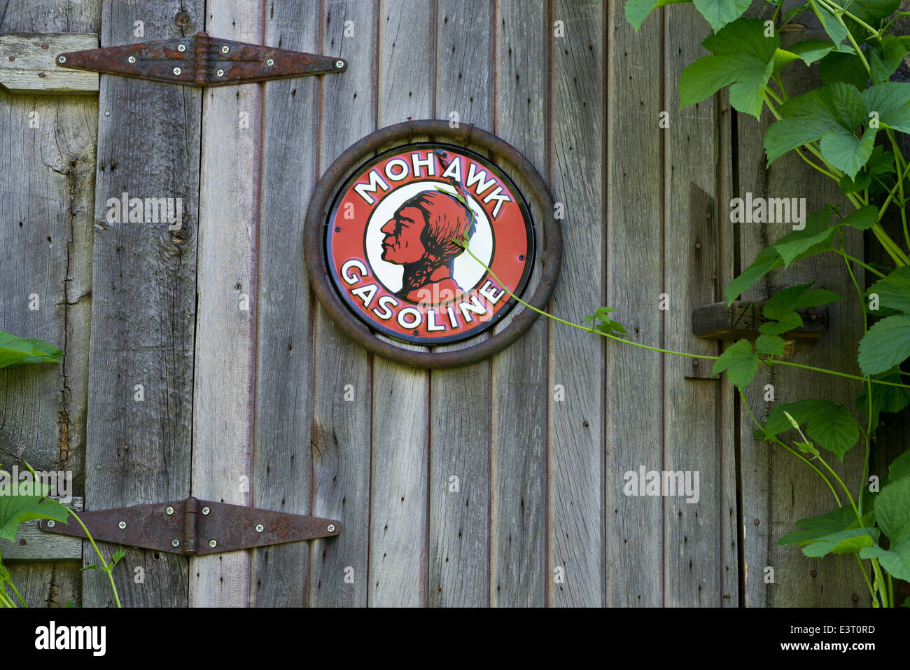 Vintage Mohawk Gasoline sign on a shed in Oregon's Wallowa Valley Stock ...