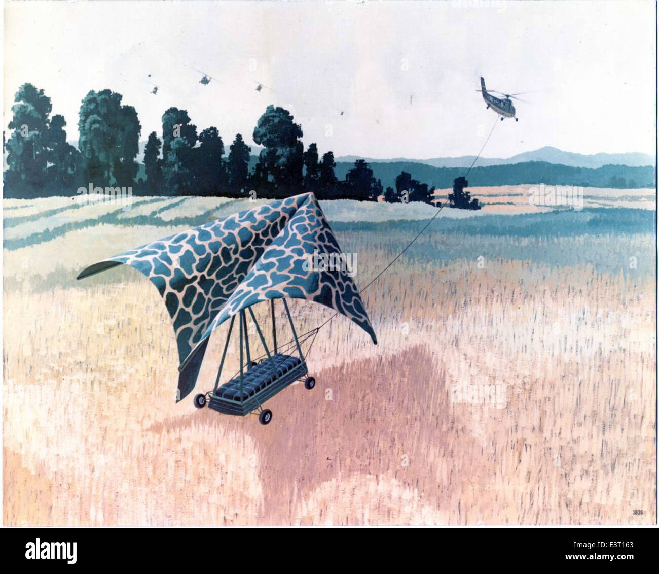 This image features a Ryan Aeronautical drone, identified as 3036-C ...