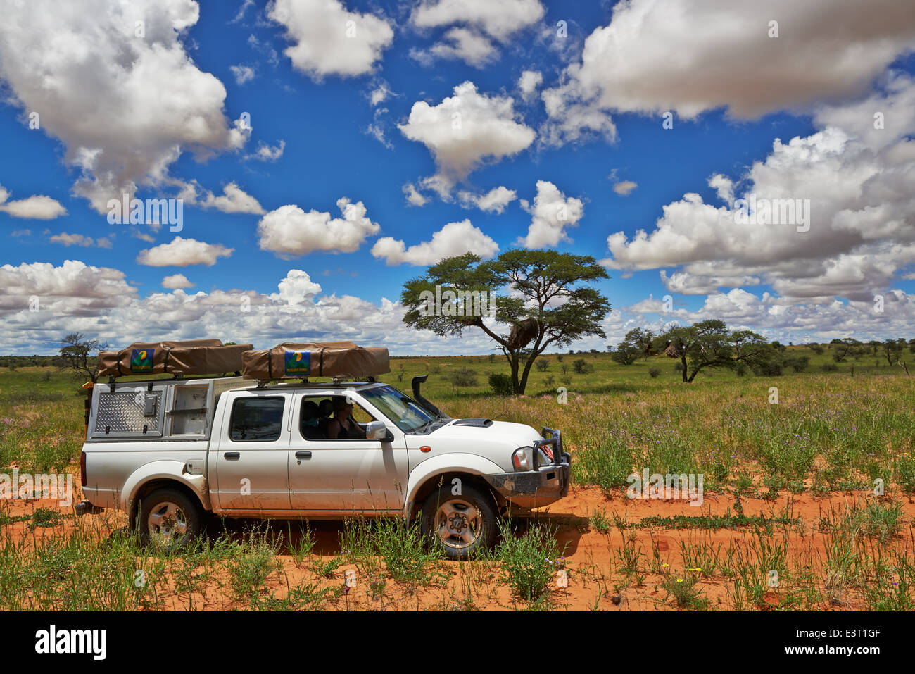 4x4 car in landscape of Kgalagadi Transfrontier Park, Kalahari, South ...
