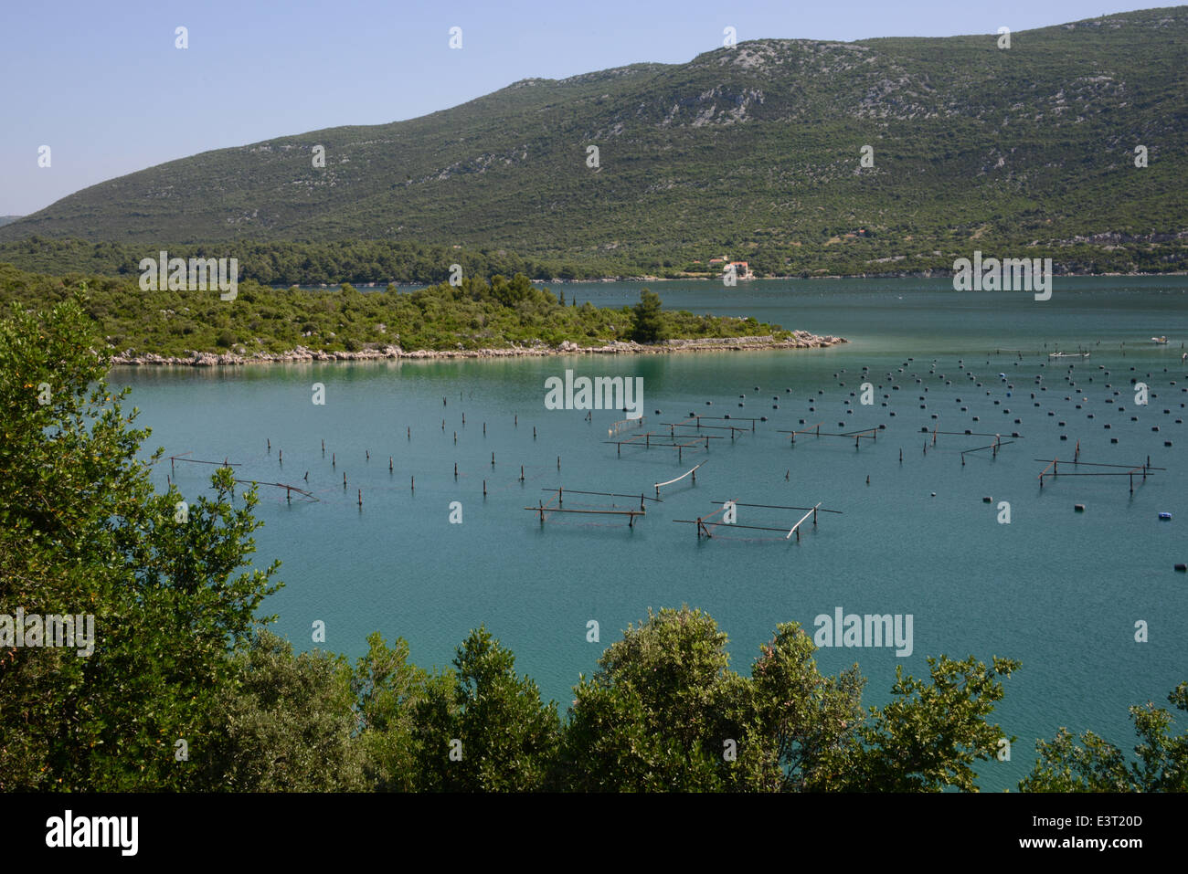 Shellfish beds on coast hi-res stock photography and images - Alamy