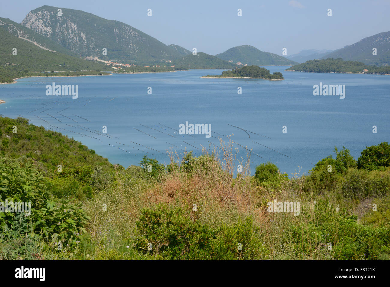 Shellfish beds on coast hi-res stock photography and images - Alamy