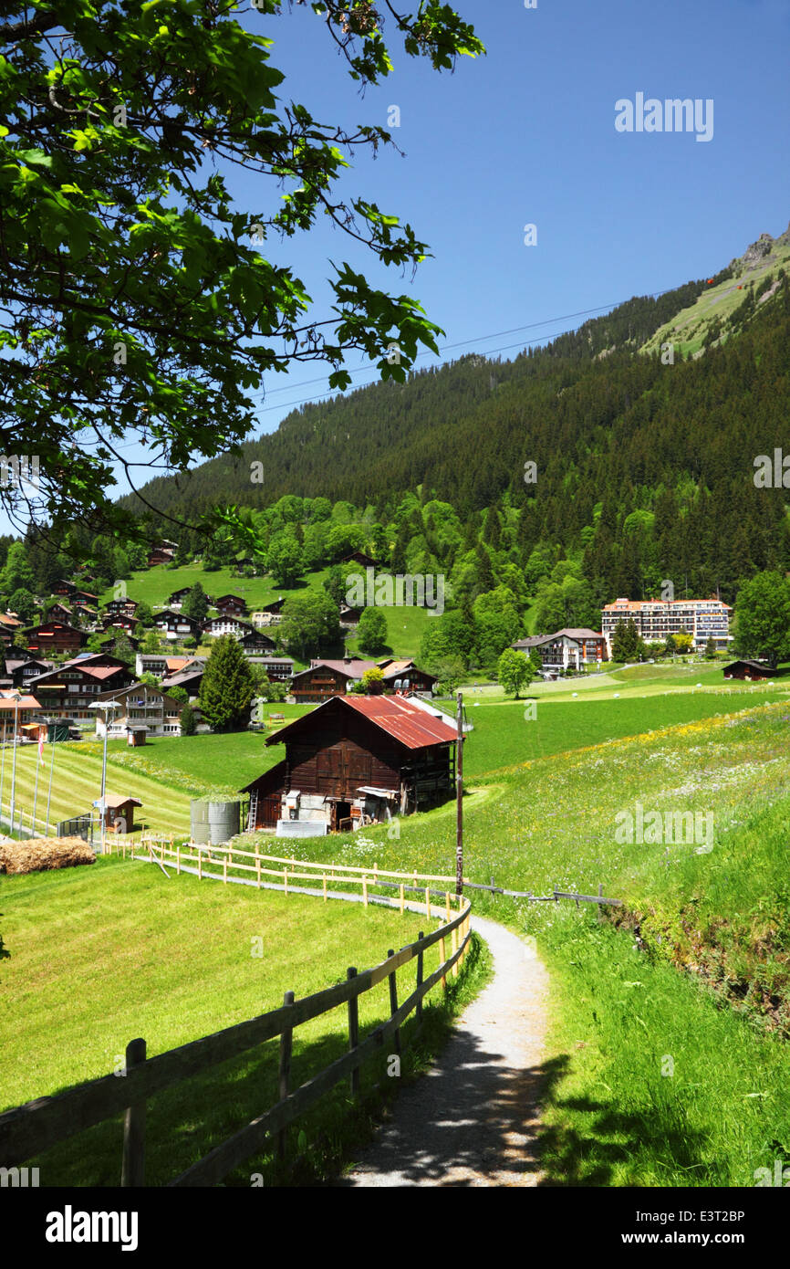 A Swiss alpine scene with a chalet and a path under a tree Stock Photo ...