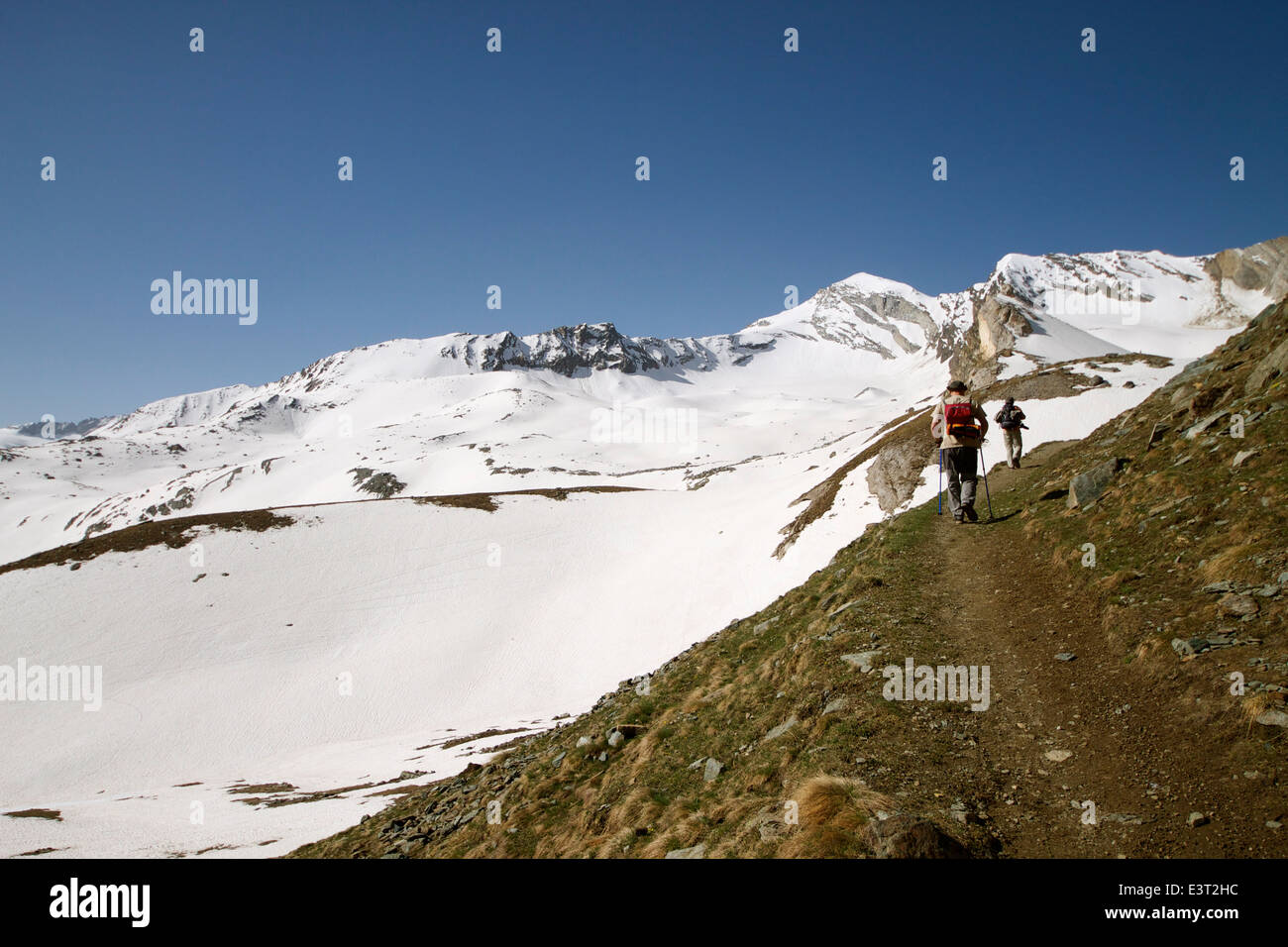 National Park Gran Paradiso Stock Photo - Alamy