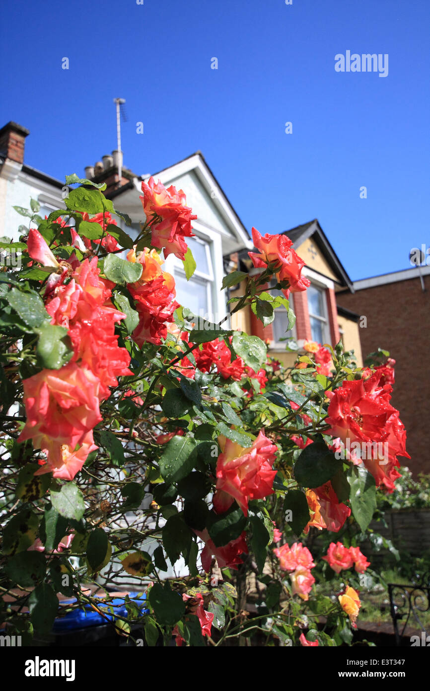 Flat roof house uk london hi-res stock photography and images - Alamy