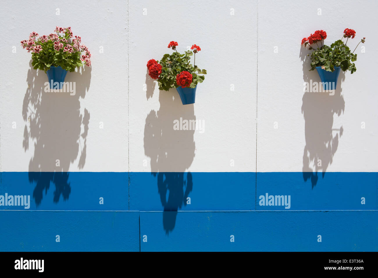 Seville old town flower hi-res stock photography and images - Alamy