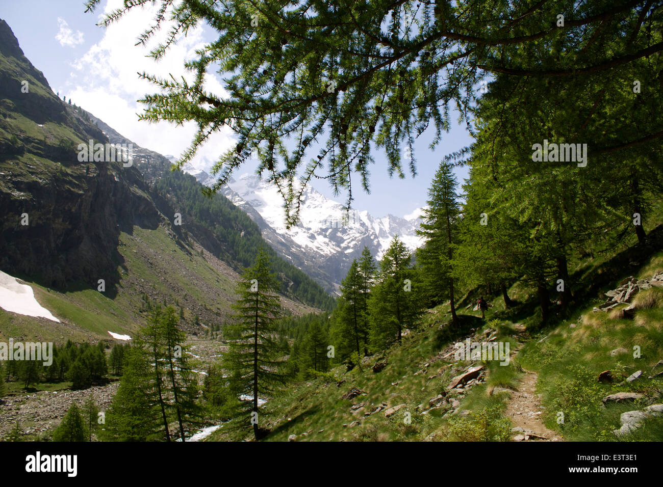 National Park Gran Paradiso Stock Photo - Alamy