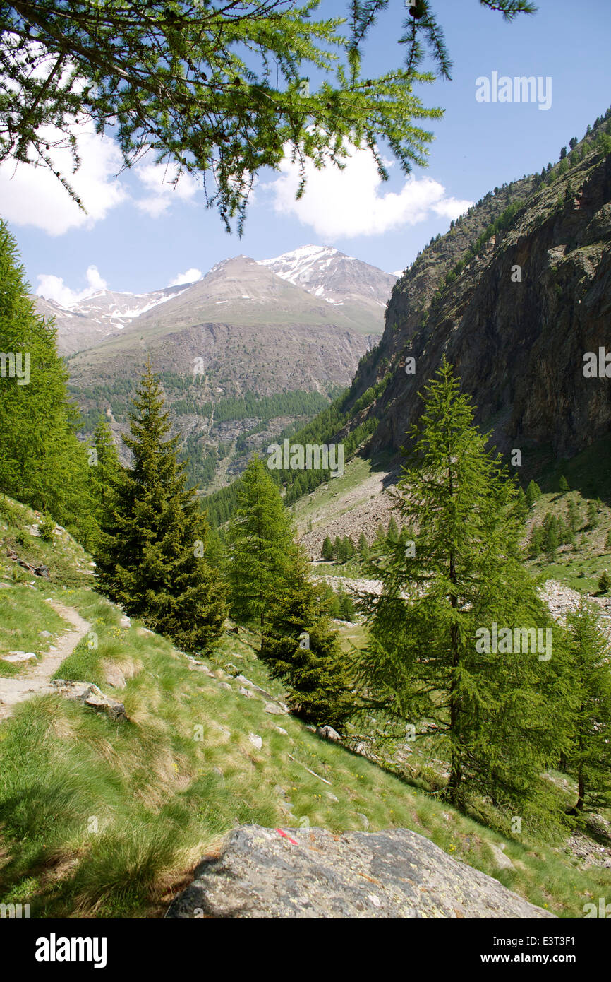 National Park Gran Paradiso Stock Photo - Alamy