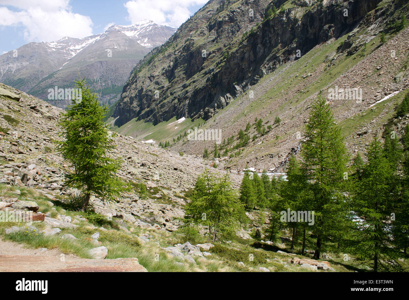 National Park Gran Paradiso Stock Photo - Alamy