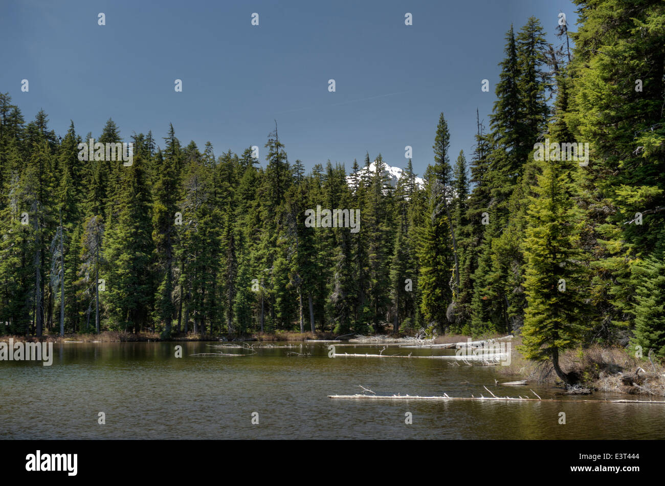From one end of Badger Lake in Oregon's Sky Lakes Wilderness, you can ...
