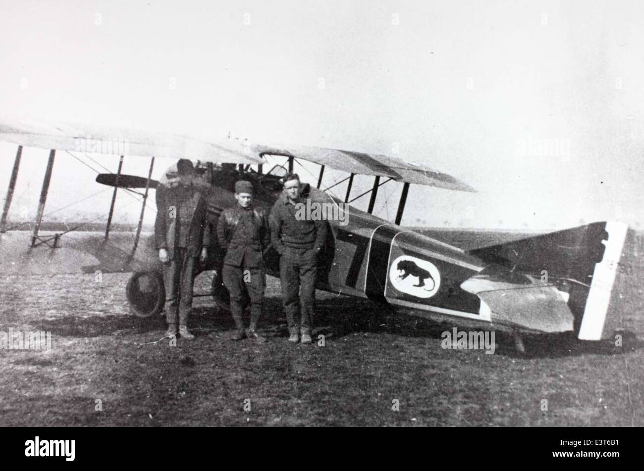 The SPAD XIII (S.12) was a French biplane used during World War I. It ...
