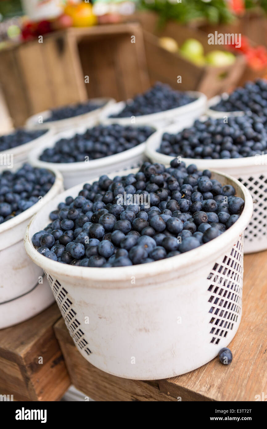 Locally grown blueberries on display at the weekly farmers market in ...