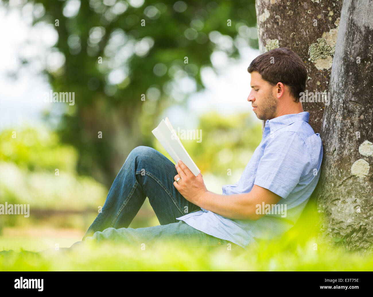 Man sitting under tree reading hi-res stock photography and images - Alamy