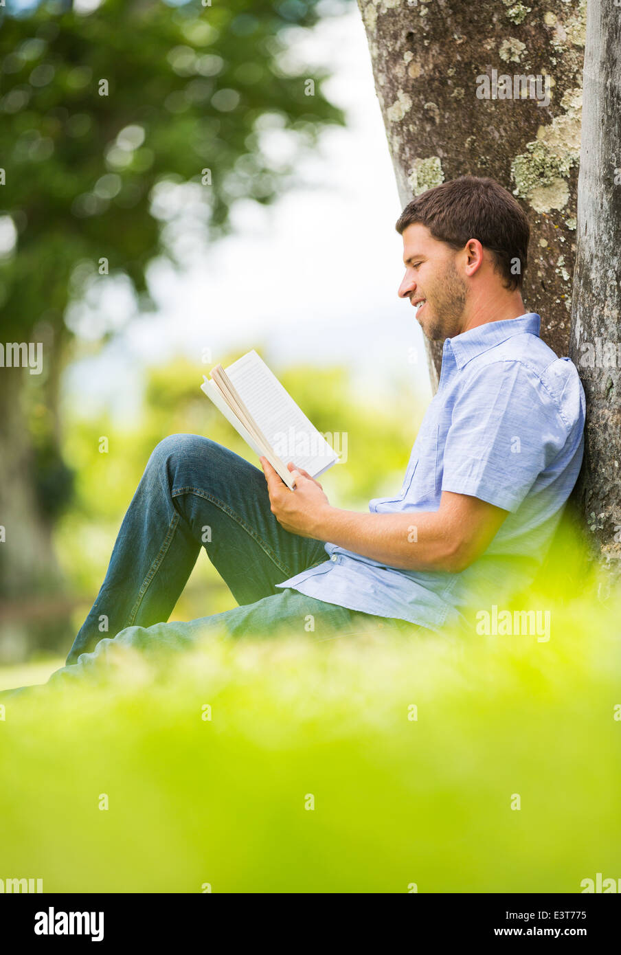 Man sitting under tree reading hi-res stock photography and images - Alamy