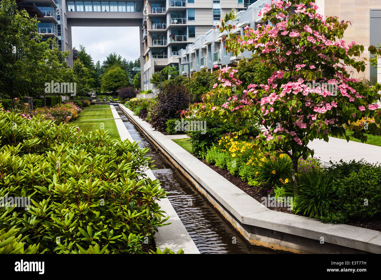 Ubc campus vancouver campus hi-res stock photography and images - Alamy