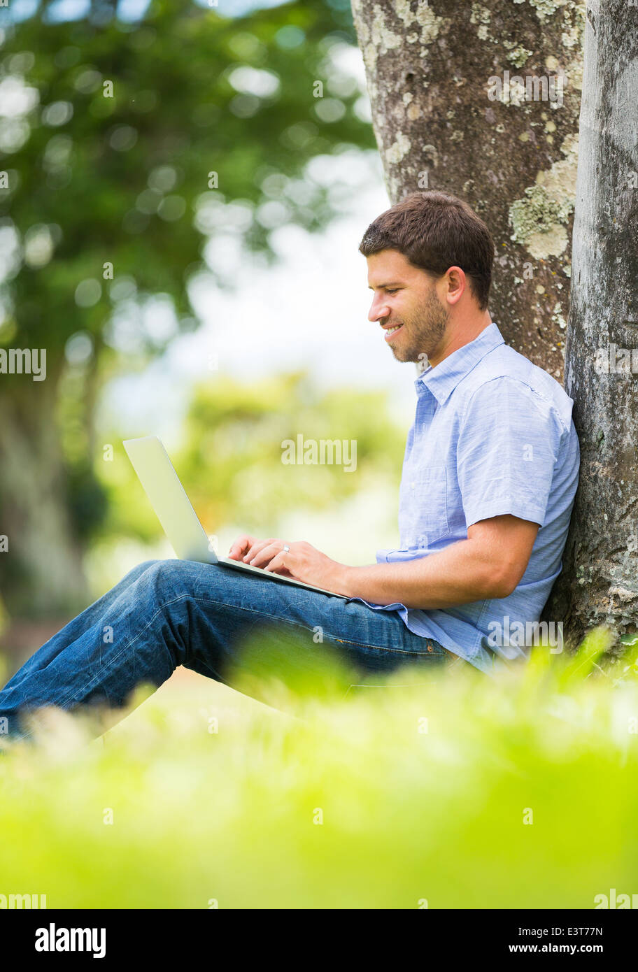 Businessman laptop working under tree hi-res stock photography and ...