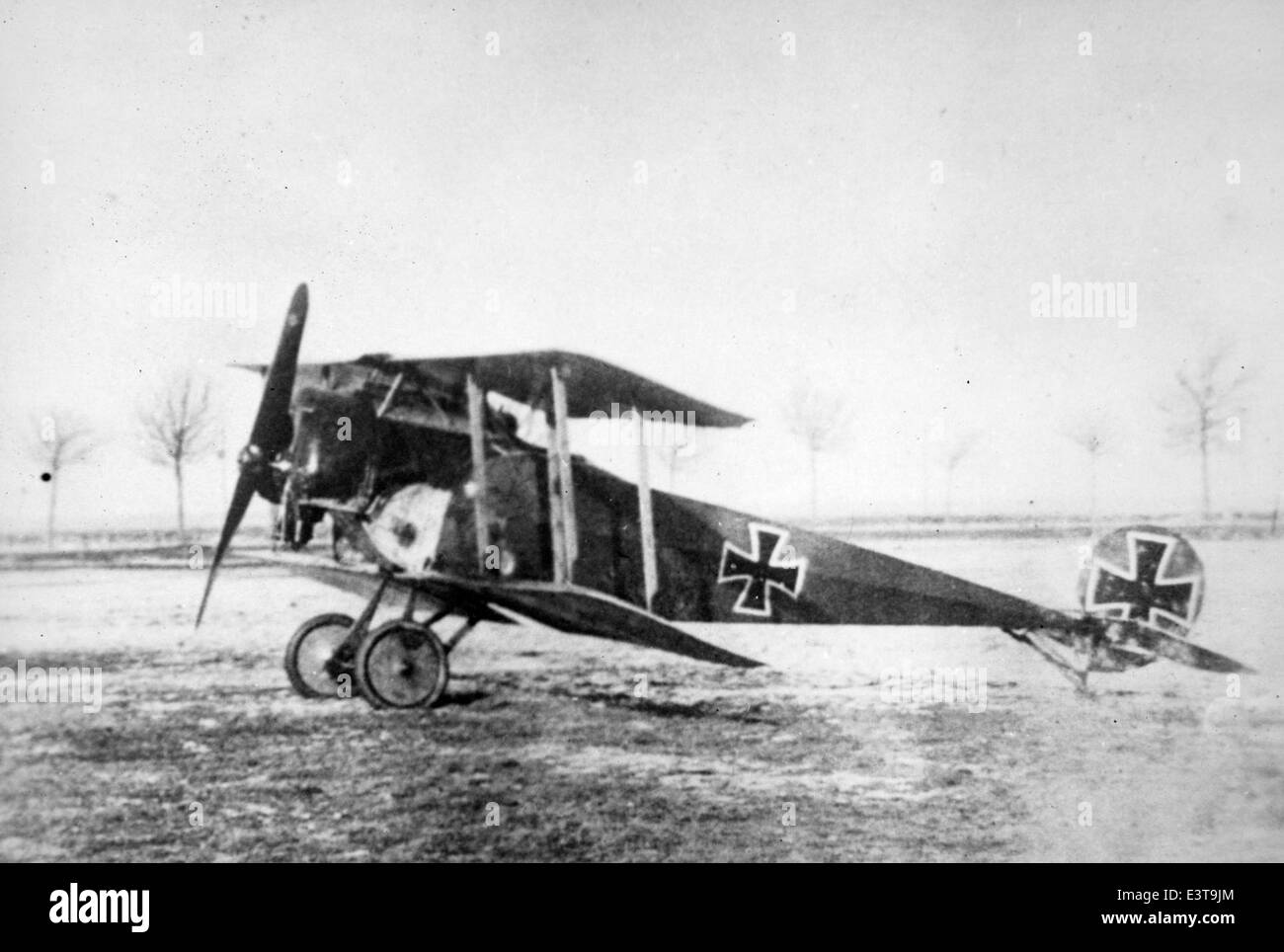 The Fokker DII was a German fighter aircraft used during World War I ...