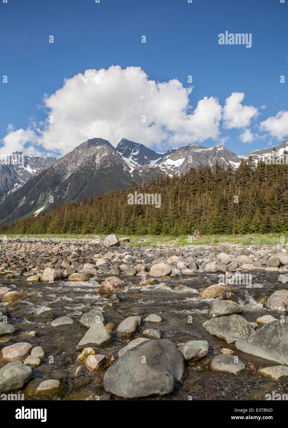 Rocks on a beach in Southeast Alaska with mountains and puffy clouds ...