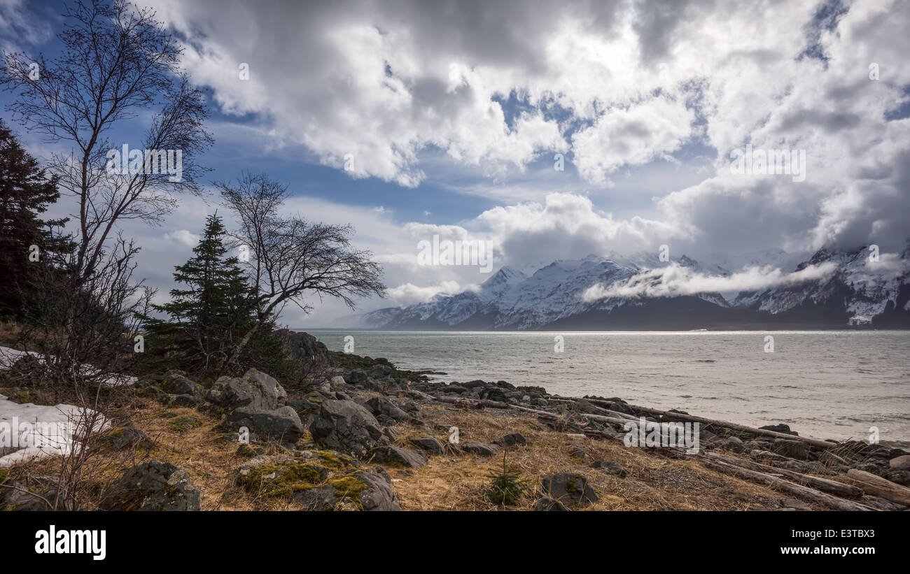 Southeast alaska spruce hi-res stock photography and images - Alamy