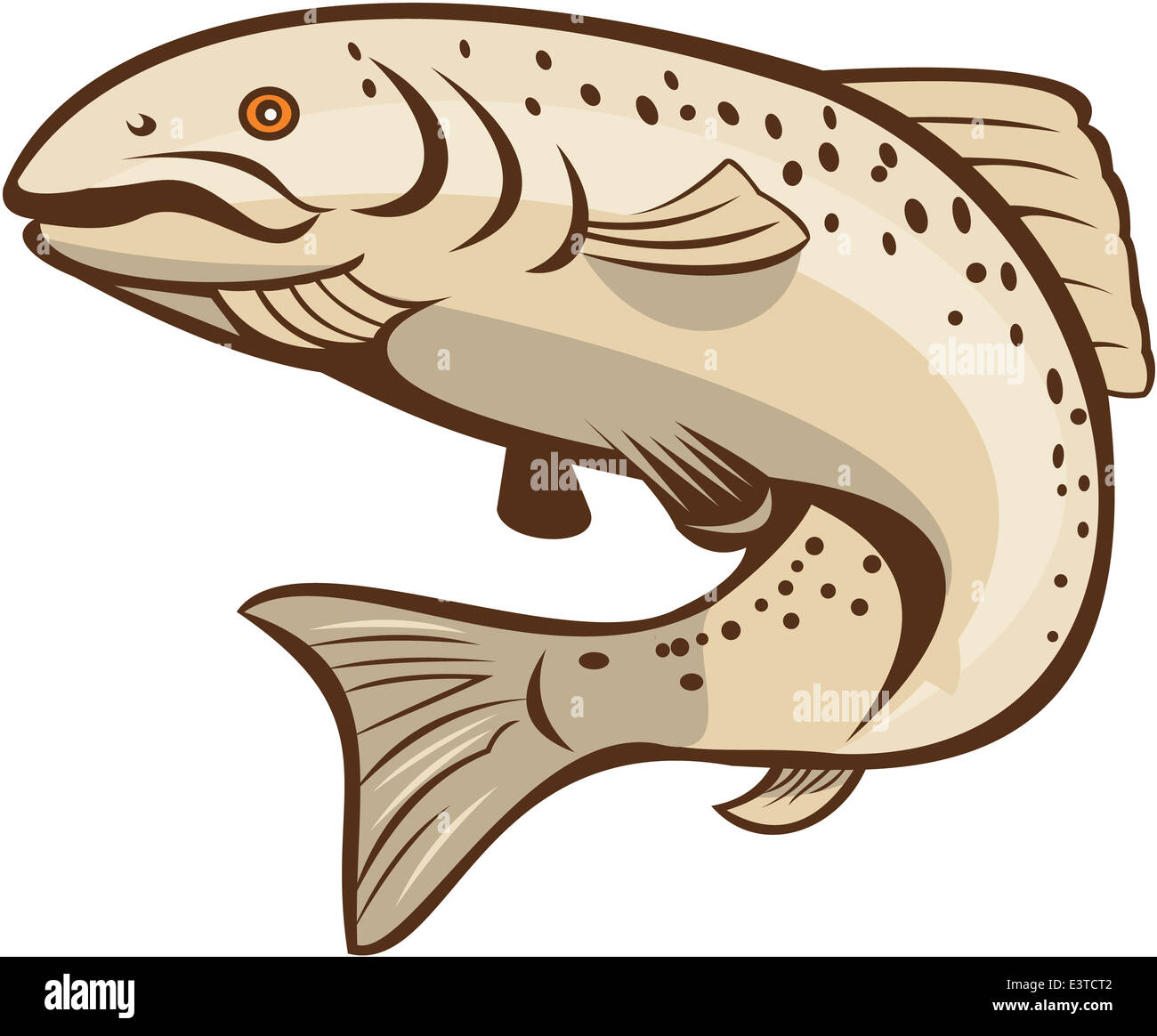Illustration of a rainbow trout fish jumping on isolated white ...