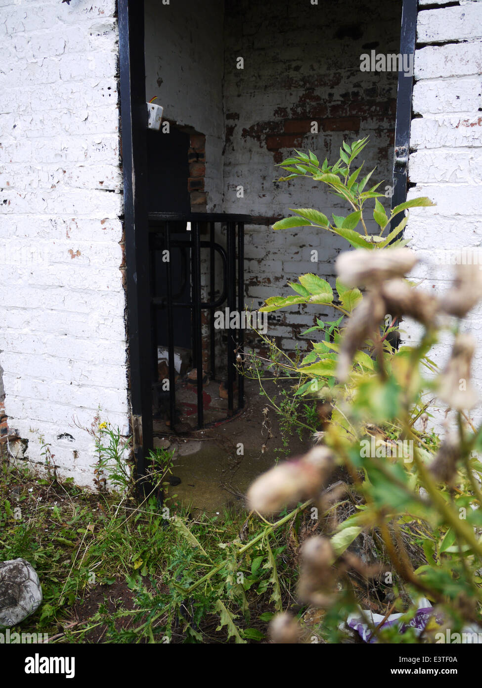 Professional football ground hi-res stock photography and images - Alamy