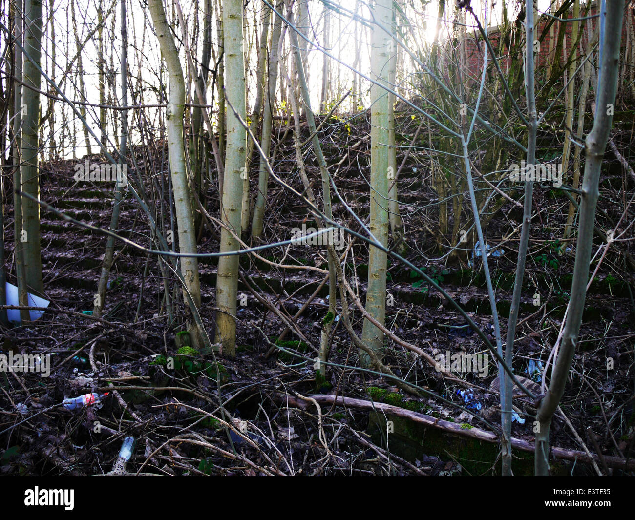 Abandoned and overgrown terracing at Park Avenue Football Stadium ...