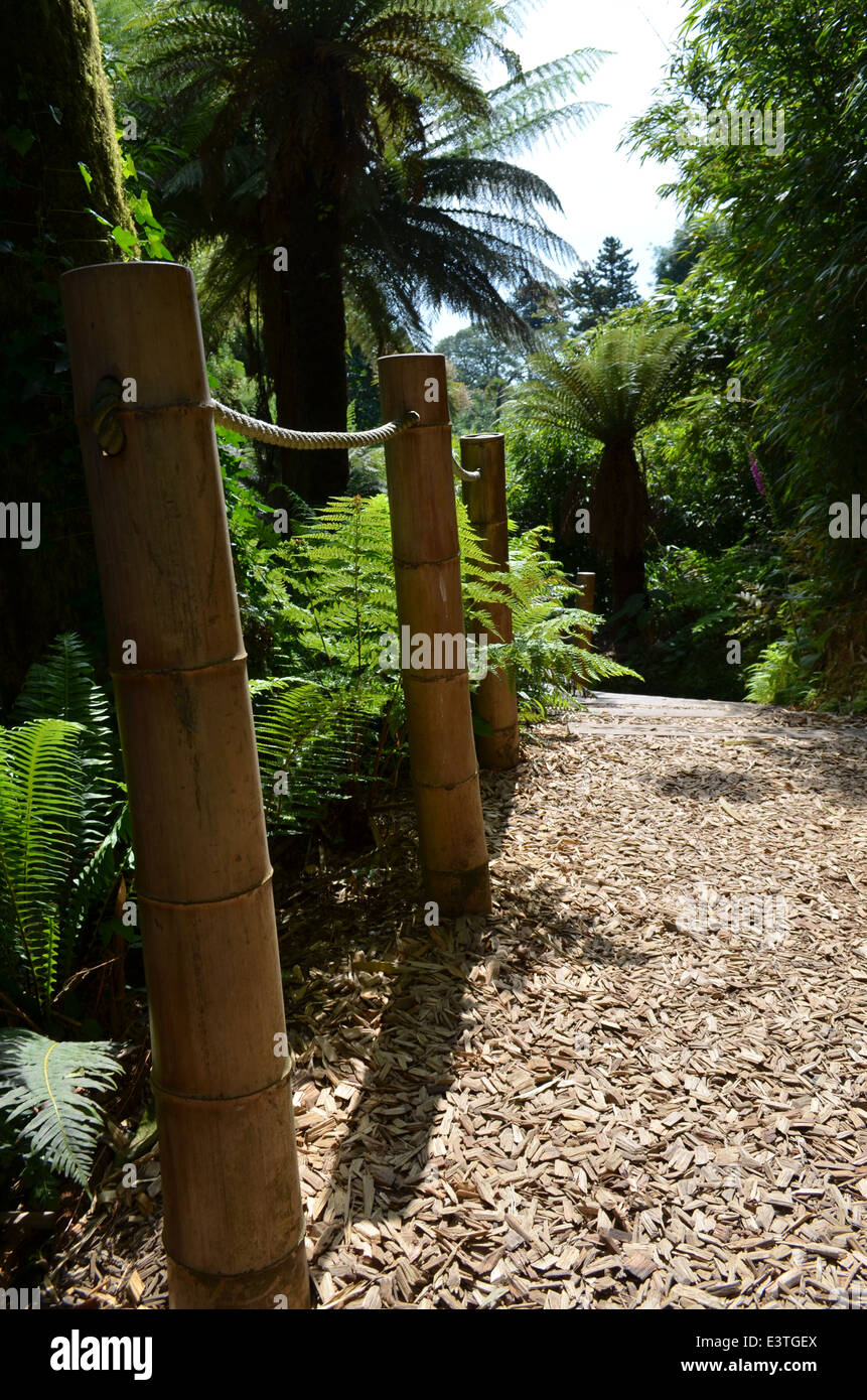 Bamboo railing hi-res stock photography and images - Alamy