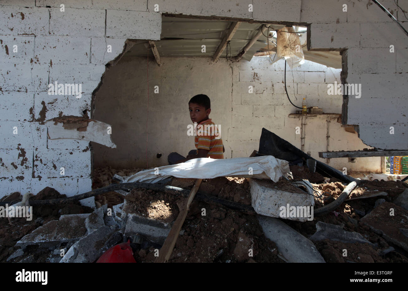 Gaza. 29th June, 2014. A Palestinian inspects a damaged chicken coop ...