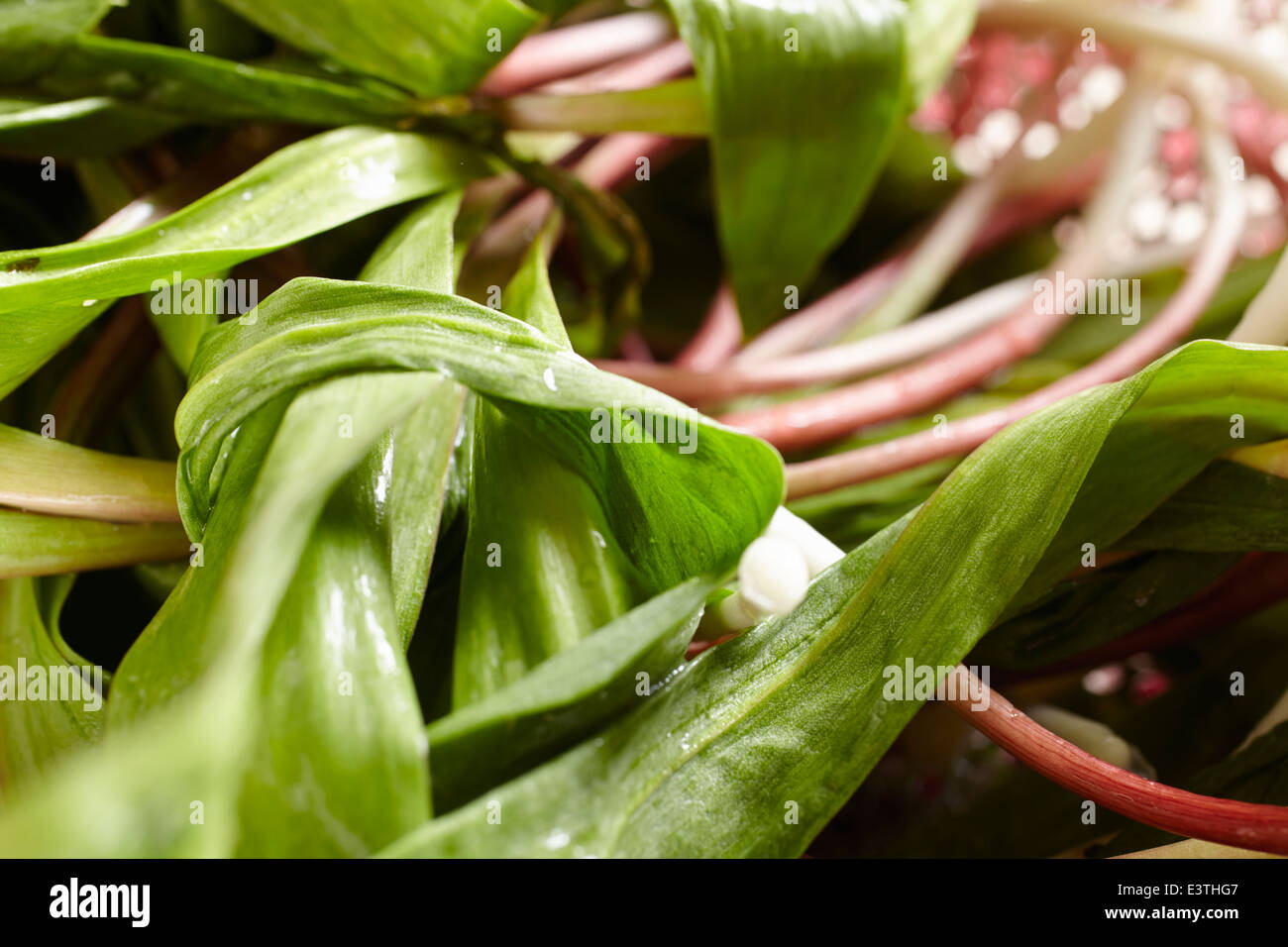 Ramps hi-res stock photography and images - Alamy