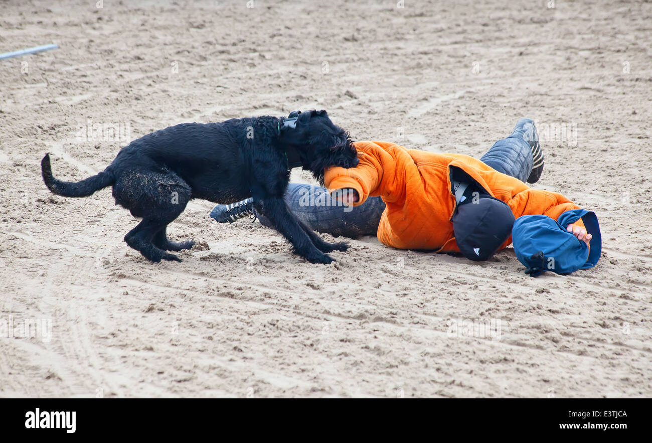 Bdu hi-res stock photography and images - Alamy