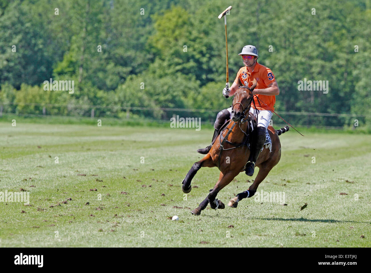 Polo players with ball, Bucherer High Goal Polo Cup, Gut Aspern ...
