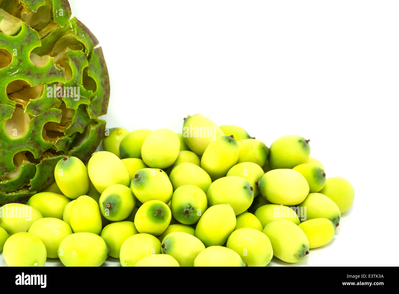 Seeed hi-res stock photography and images - Alamy