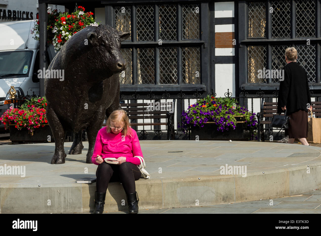 Is this book a load of bull Stock Photo - Alamy