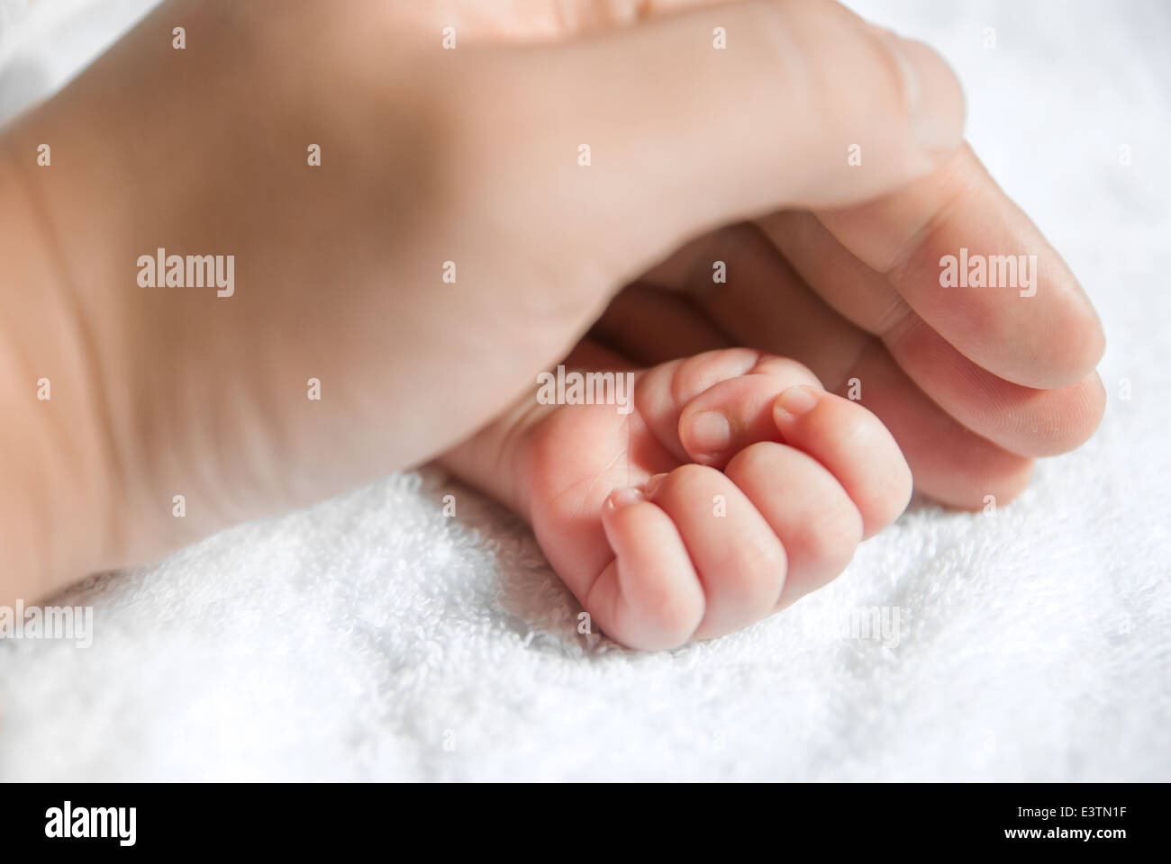 newborn baby hand cover by a male hand Stock Photo - Alamy