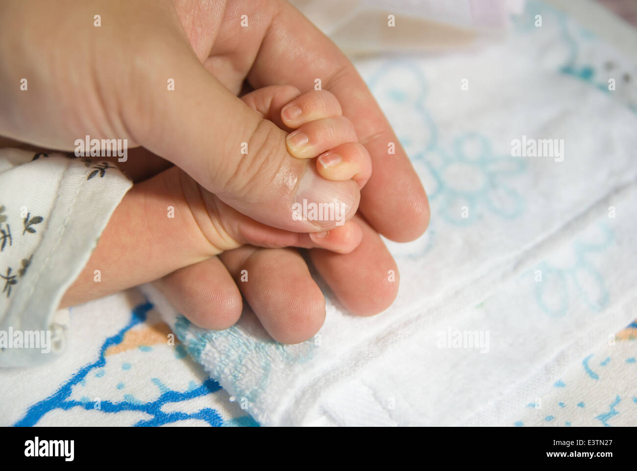 newborn baby hand on a male hand Stock Photo - Alamy